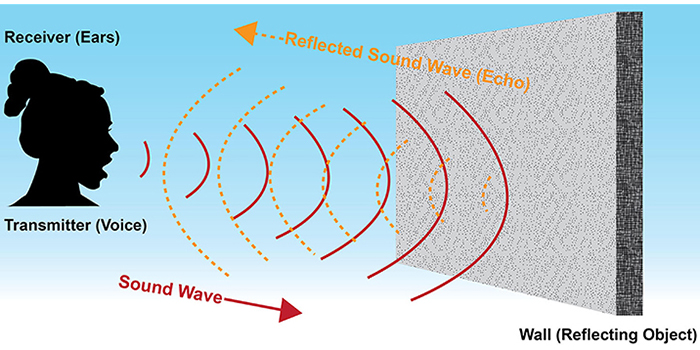 New publication: How do scientists use sound to count fish in the deep ...